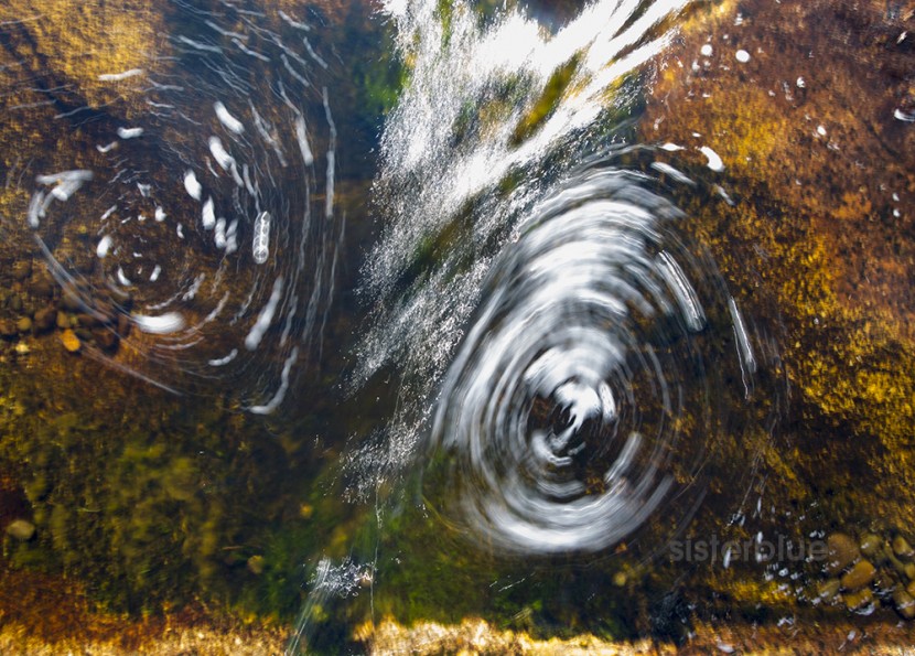 Natural Abstract Photography - Hidden Galloway Photography